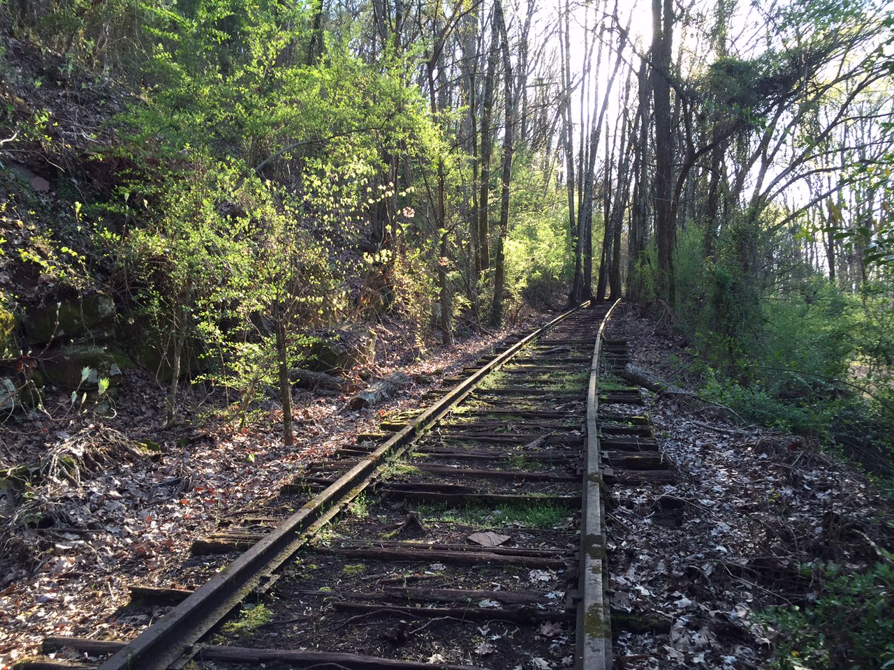 Red Mountain Park – Hike Alabama